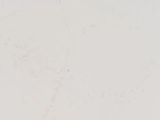 Calacatta Botanica Marble Countertops in Wilmington | East Coast Marble